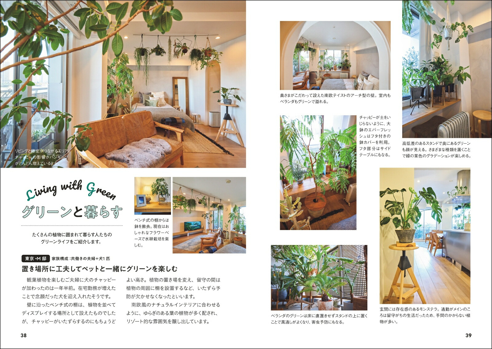 楽天ブックス 選び方・育て方のコツがわかる!観葉植物を楽しむ教科書 佐藤 桃子 9784816373824 本